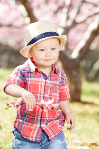 dapper toddler spring orchard pics | pixelsonpaperblog.com