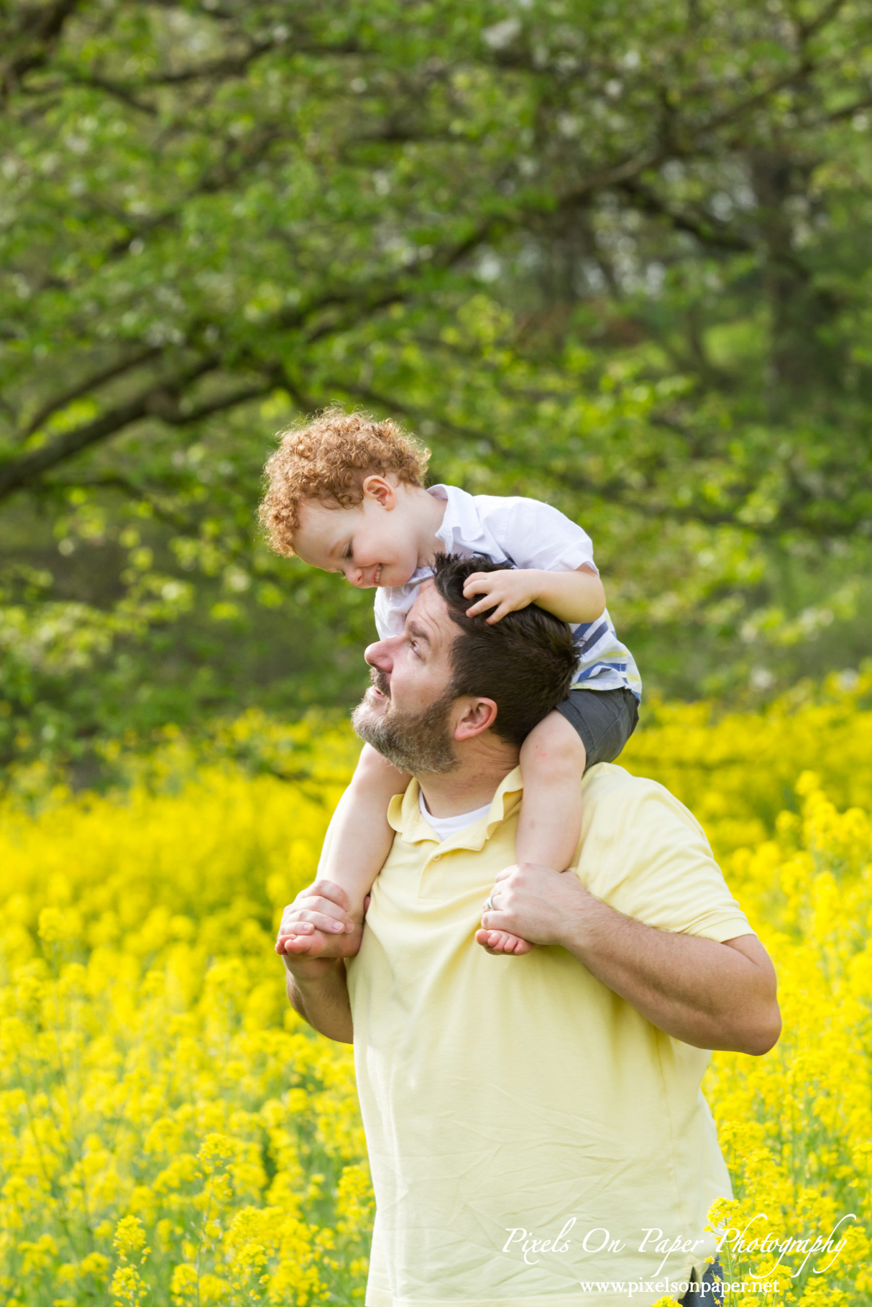Intimate Outdoor Spring Family Portraits Among Wild Mustard ...