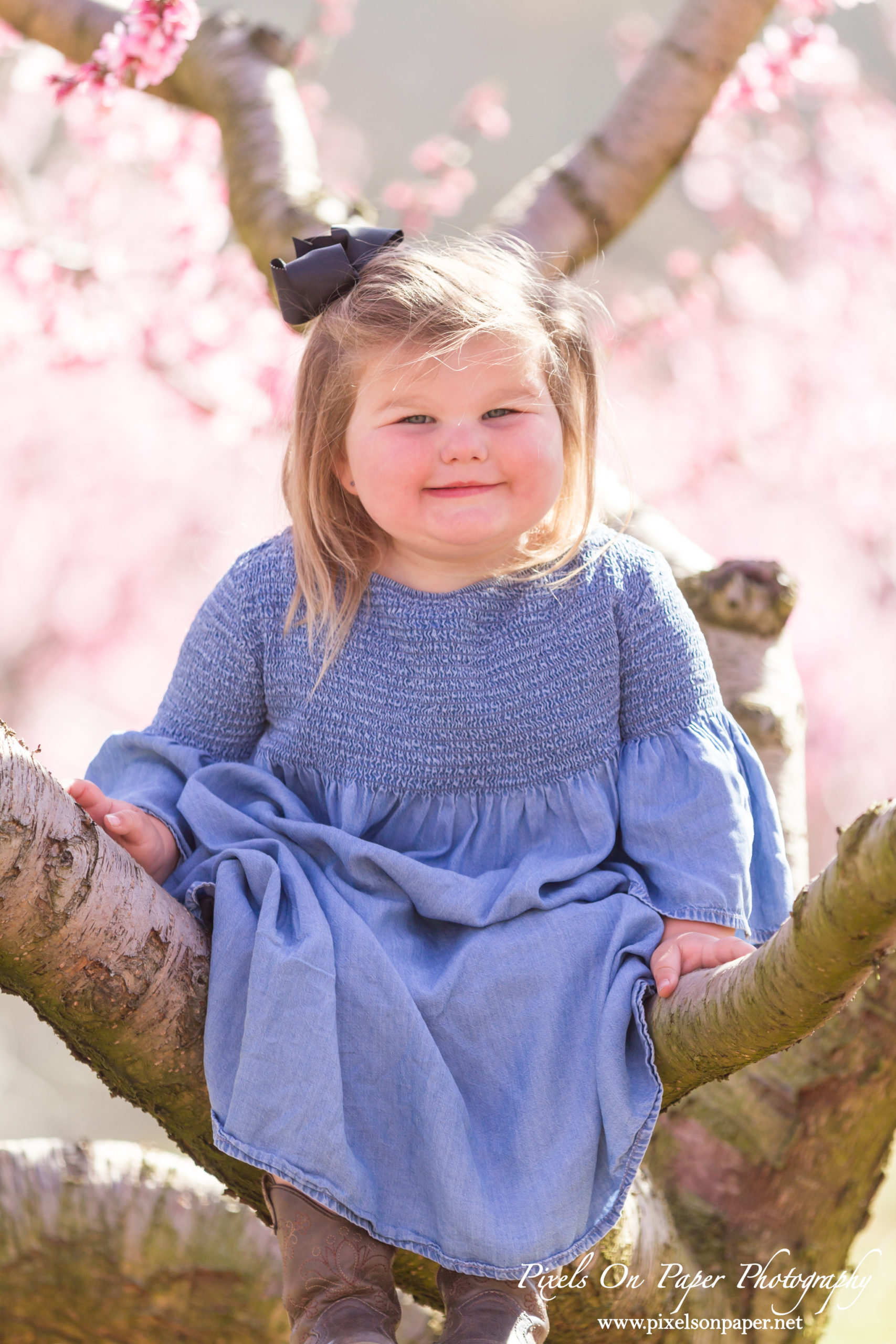 Holbrook Family – Spring portrait photos | pixelsonpaperblog.com