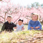 Holbrook Family – Spring portrait photos | pixelsonpaperblog.com
